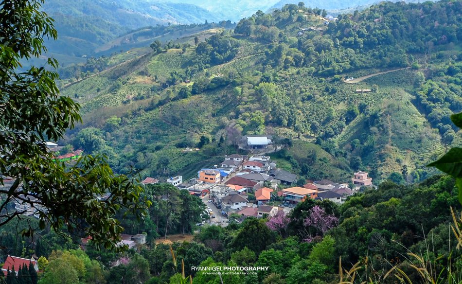 In detail: What is the F number and how does it work ...