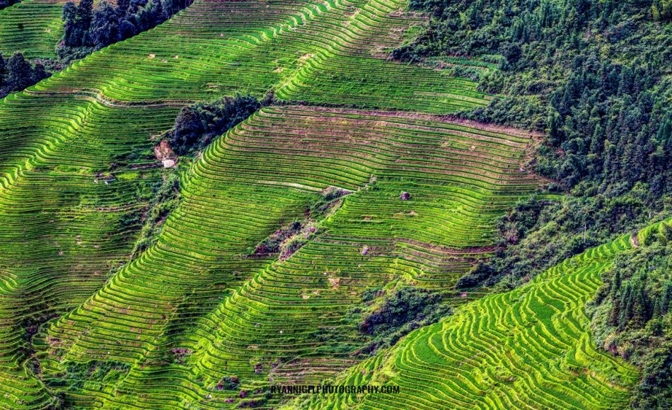 China – The lesser visited areas – ryannigelphotography.com