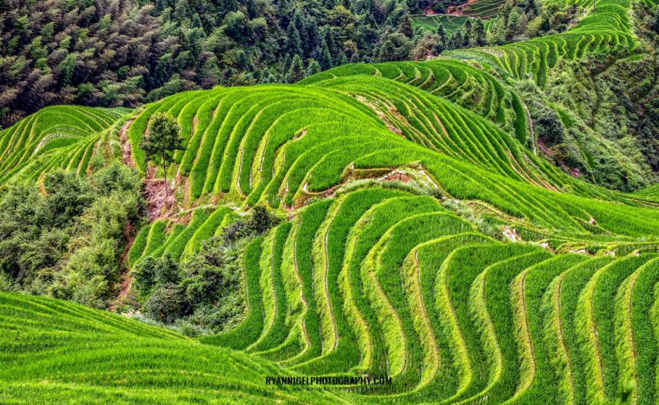 China – The lesser visited areas – ryannigelphotography.com